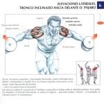 Vida Saludable Rutina Para Hombros Grandes Y Fuertes