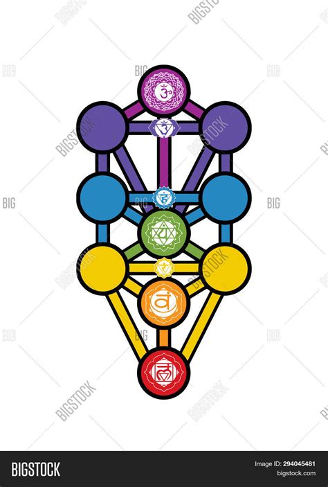 Kabbalah Tree Life Image And Photo Free Trial Bigstock
