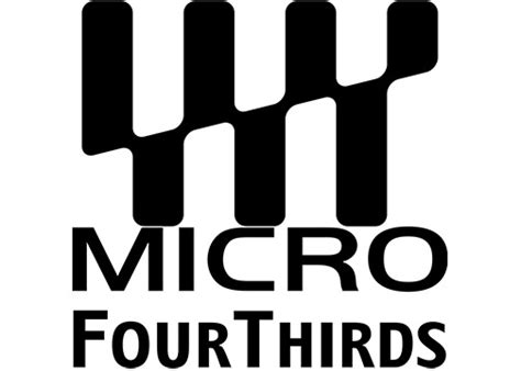 Robin Wong Everything Wrong With Micro Four Thirds