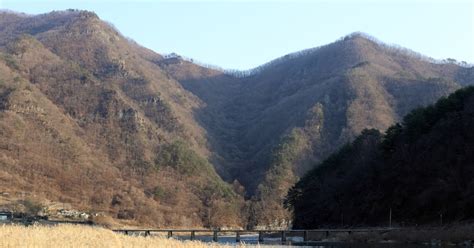 포토친구 억새가 있는 풍경