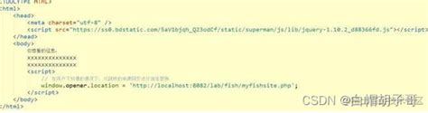 Web前端开发中的黑客技术以及安全技术（共七种）支撑web系统的辅助安全技术 Csdn博客