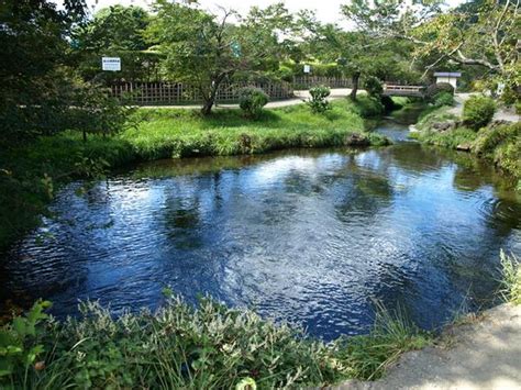 忍野八海六番霊場 濁池 山梨 山中湖 おすすめの人気観光お出かけスポット Yahoo トラベル