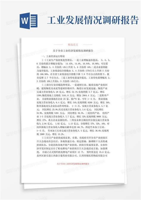 关于全市工业经济发展情况调研报告图文word模板下载编号lyxjjege熊猫办公