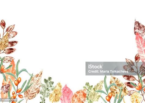 다양한 나무와 바다 갈매 나무속의 가을 화려한 나뭇잎의 밝은 Aquarelle 각인 흰색 배경에 분리된 그림입니다 텍스트를 위한 복사 공간이 있는 수평 수채화 프레임 0명에