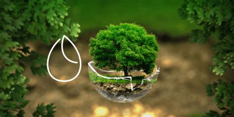 How To Use Sponge Tool In Photoshop Quick Tutorial