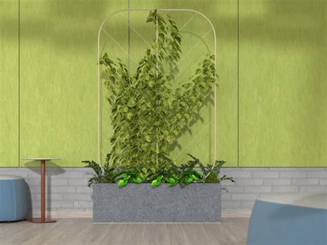 Collections Earth Csi Creative