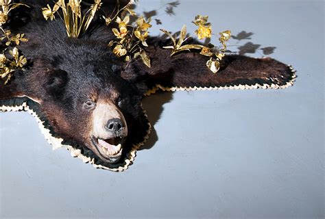 Anthony Sonnenberg — The Monarch Review