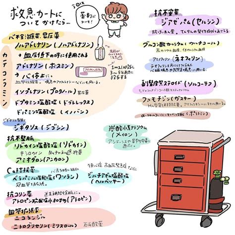 はやさんのインスタグラム写真 はやinstagram「救急カートについて 代表的な薬剤、よく見る薬剤👀 看護師看護学生看護師の