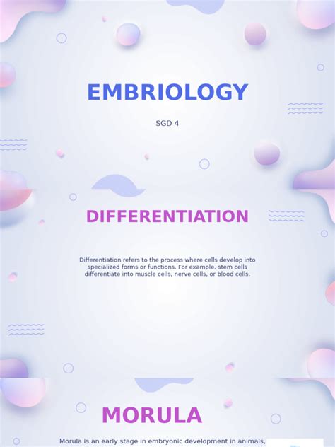 Embriology Pdf Embryo Morphology Biology