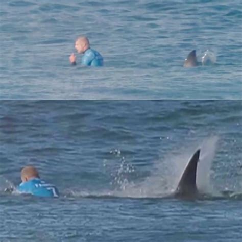 Surfer Mick Fanning Was Not Attacked By A Shark Skepchick