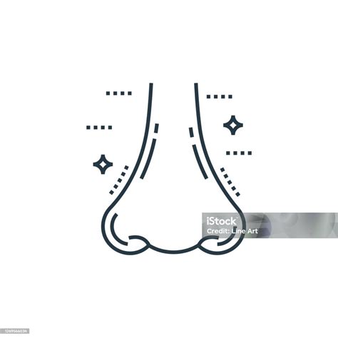 세포 장기 및 의료 대마초 개념에서 코 아이콘 벡터 코 편집 가능한 스트로크의 얇은 선 그림 웹 및 모바일 앱 로고 인쇄