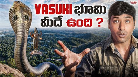 🐍 The Giant Indian Snake Discovering The 50 Foot Vasuki Indicus