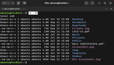 Useful Ls Command Examples In Linux