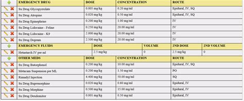 Anesthetic Monitoring Form Setup And Use