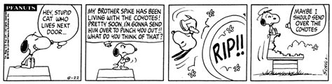Peanuts By Charles Schulz For August In Stupid Cat