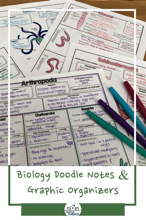 Biology Corner Cell Graphic Organizer At Genevieve Tarrant Blog