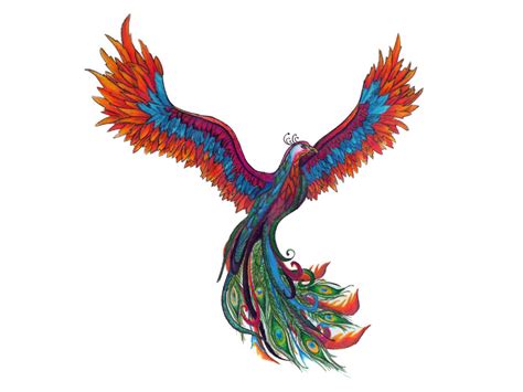 Tatuaggio Fenice Gallerie Di Immagini Foto E Disegni Più Belli