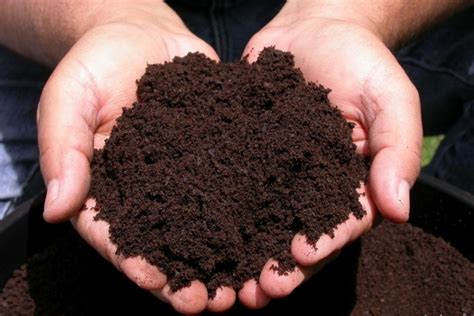 Como Fazer adubo orgânico restos de alimentos em Casa Sky Nerd