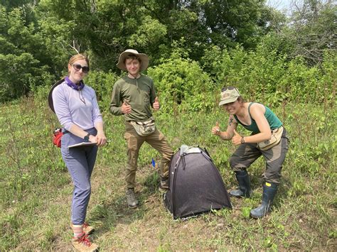 2023 Update Ground Nesting Bees In Prairie Remnants And Restorations The Echinacea Project