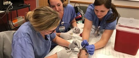 Residency Curriculum Department Of Obstetrics And Gynecology