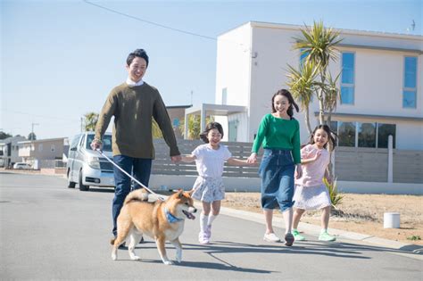 〈愛犬のお散歩〉犬種別の運動量とは？老犬の運動はどうする？季節・暮らしの話題 2019年05月14日 日本気象協会 Tenkijp