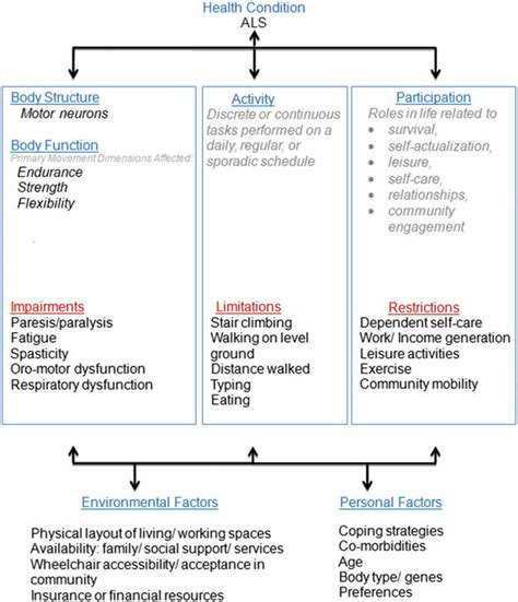 2 Framework For Relating The Effects Of Als In Case A To The Persons