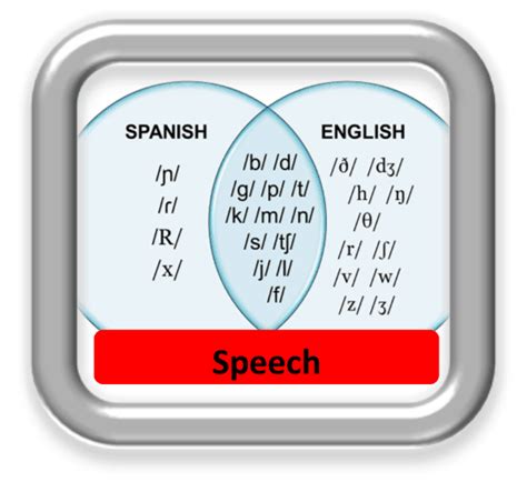 Difference Or Disorder Speech Development In English Language Learners Bilinguistics