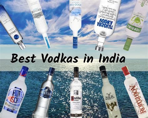 Top 10 Popular Vodka Brands In India In 2025 True Buddy