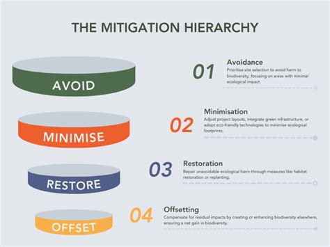 the mitigation hierarchy bng