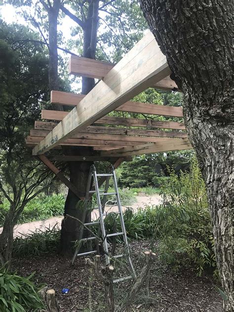 Tree House Design Tree House Construction Sydney NSW Australia