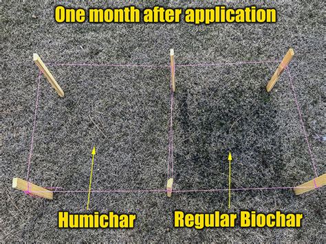 How Does Biochar Work Biochar