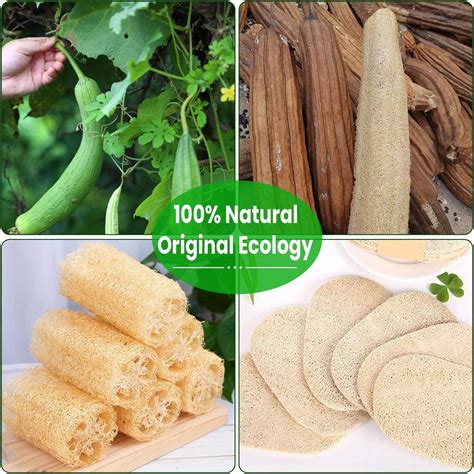 2 Pack Natural Loofah Sponge Body Scrubber For Women And Men