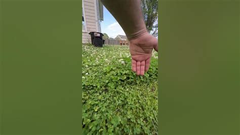 Город Шарлотт Северная Каролина США Youtube