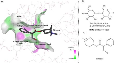 The Molecular Docking Results Of HPMC And ATR A Schematic Diagram Download Scientific
