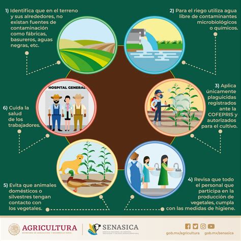 Senasica En La Agricultura Las Buenas Prácticas