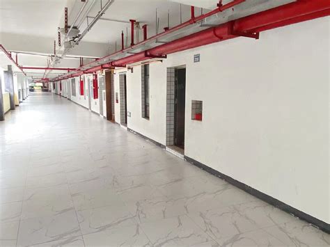 【11图】物业直租外卖线上超市配送服务商铺招租广州海珠东晓南海珠智汇科技园商业商铺租售生意转让出租 广州58同城