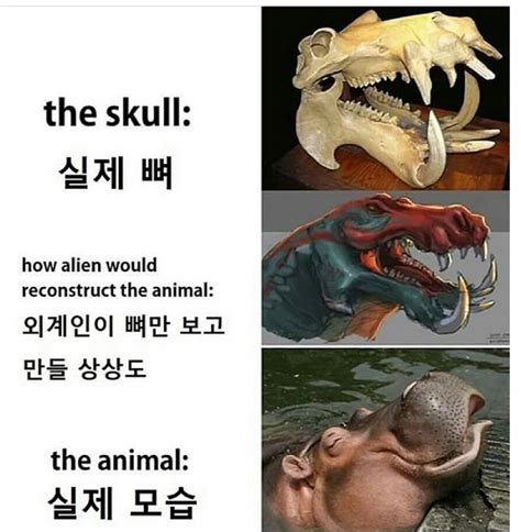 고고학 생물복원이 힘든 이유 에누리 쇼핑지식 자유게시판