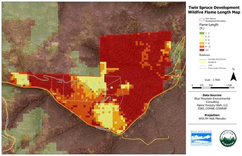 Wildfire Mitigation Forestry Services Bmec Colorado