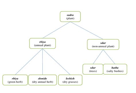 4 Sahrawi Classification Of Camel Forage Download Scientific Diagram