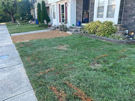 Peacock Contracting Llc