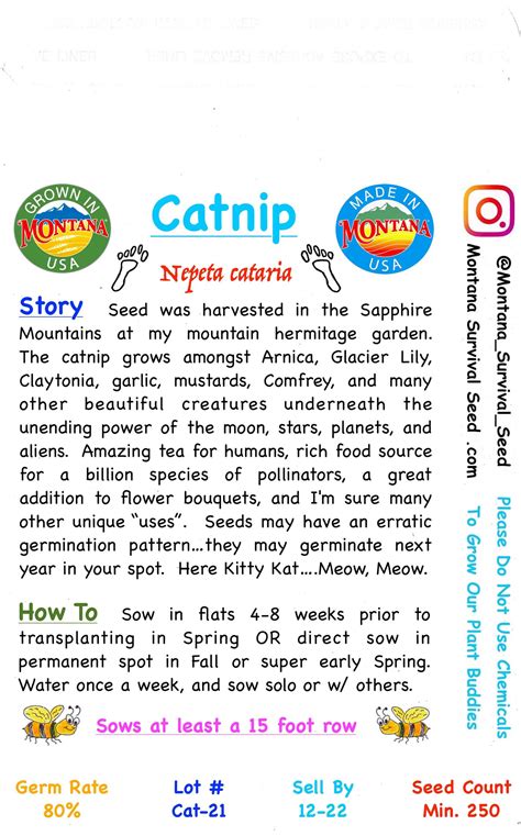 Catnip Montana Survival Seed