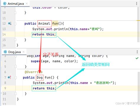 Java