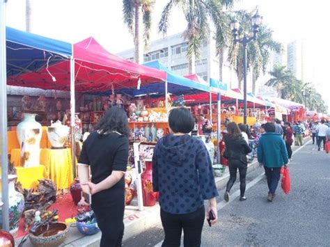 春回大地第一次行東莞長安花街蝴蝶蘭當道啊多圖 每日頭條