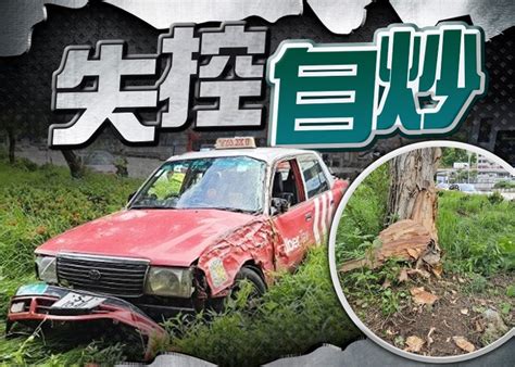 太子道東的士自炒剷入花槽 撞毀大樹司機幸無恙｜即時新聞｜港澳｜oncc東網