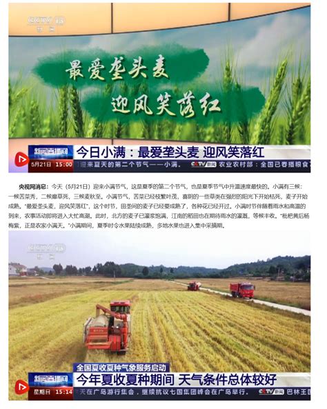 今年夏收夏种期间 大部分时段天气条件总体较好 延边新闻网