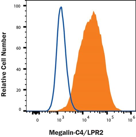 Human Megalin Lrp2 Pe Conjugated Antibody Fab9578p 100 Randd Systems