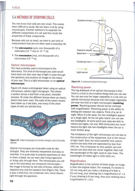 Does Anybody Have Any Idea Which Book These Pages Are From I Really Need The Book But Cant