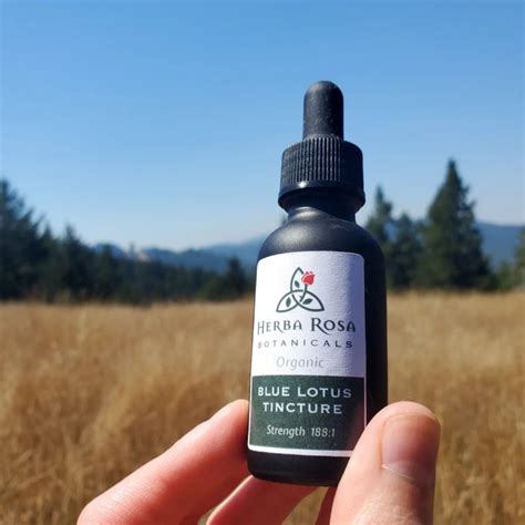 Blue Lotus Tincture Alcohol Free Max Strength 188x Organic Glycerite Etsy