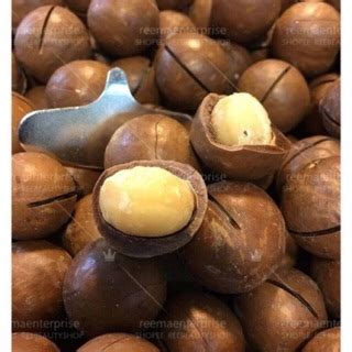 1 KG MACADAMIA NUTS Kacang Macadamia Kacang Loceng Ready To Eat Shopee Malaysia