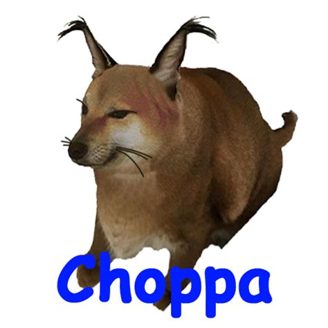 Choppa Rbigfloppa